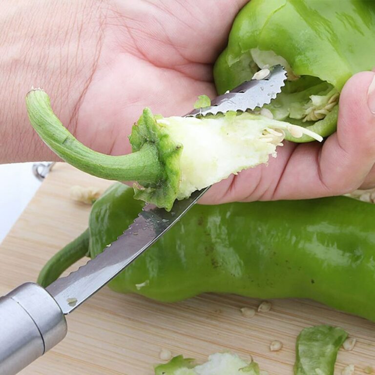 7 Tahapan Cara Menanam Cabe yang Benar Agar Tumbuh Subur