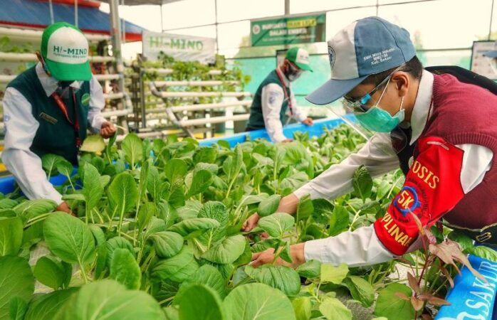 7 Manfaat Pertanian Organik Bagi Lingkungan dan Masyarakat