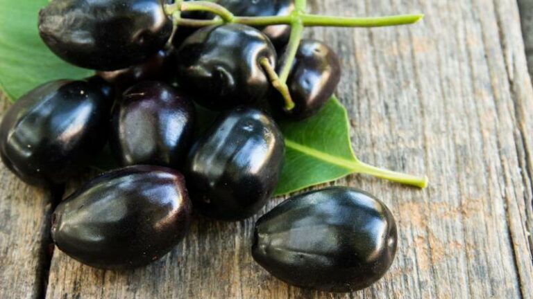 11 Jenis Tanaman Buah Langka yang Sulit Ditemukan di Indonesia