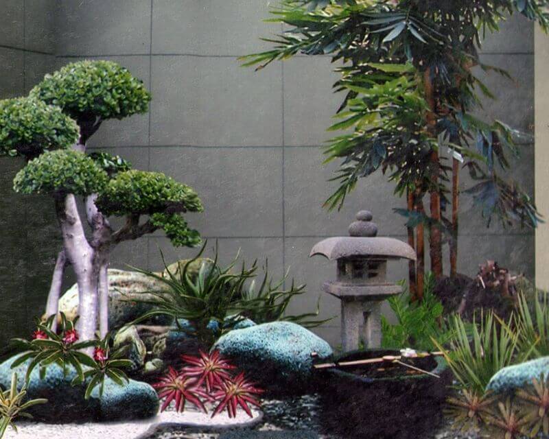 14 Jenis Tanaman Hias untuk Taman Minimalis Kekinian