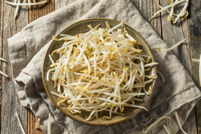 4 Cara Membuat Tauge Gemuk dan Putih, Ternyata Gampang! - Berkebun