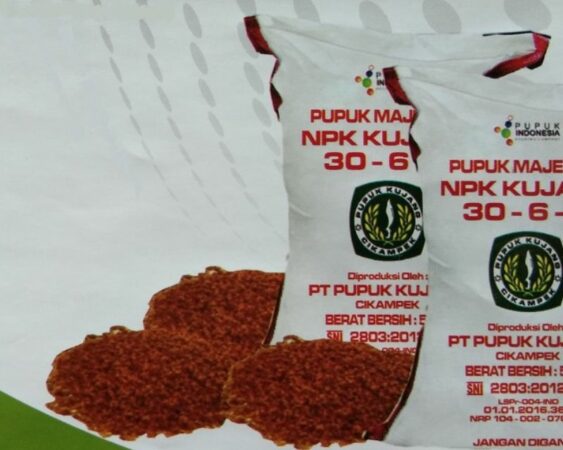 8 Rekomendasi Jenis Pupuk Untuk Padi Yang Terbaik - Berkebun