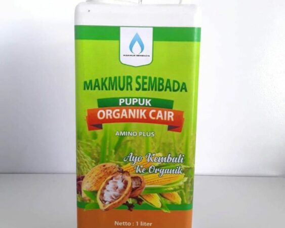 8 Rekomendasi Jenis Pupuk Untuk Padi Yang Terbaik - Berkebun