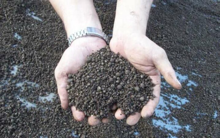 Apa Itu Pupuk Organik Granul? Pengertian, Fungsi & Cara Buatnya