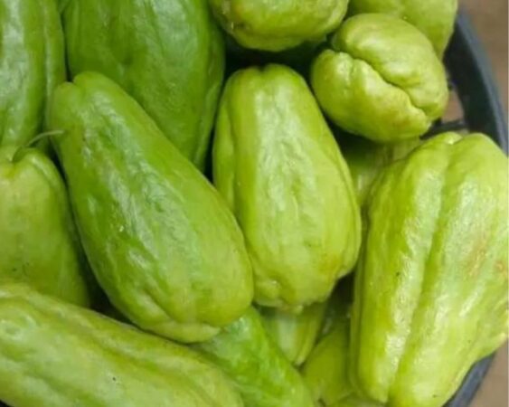 6 Manfaat Tanaman Labu Siam Yang Penting Bagi Tubuh