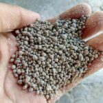 Pupuk TSP Adalah: Ini Pengertian dan Manfaatnya Lengkap