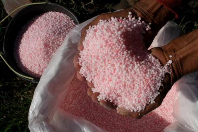 4 Jenis Pupuk Anorganik dan Penjelasannya Lengkap - Berkebun