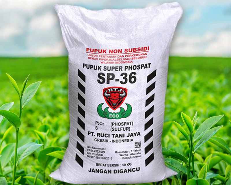 Daftar Harga Pupuk SP 36 Subsidi Non dan Subsidi 1kg, 50kg