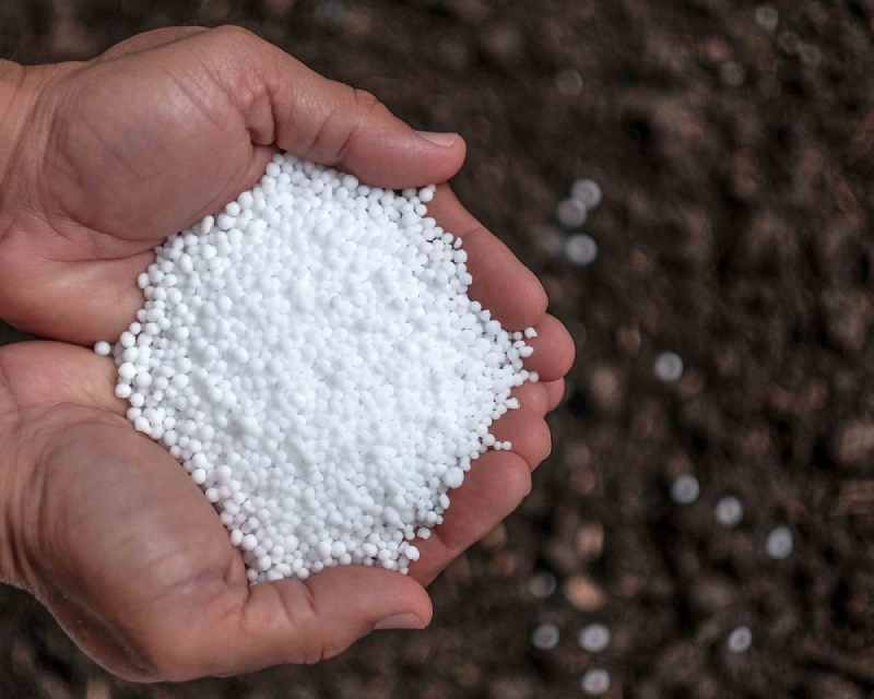 Harga Pupuk Urea Subsidi dan Non Subsidi Terbaru