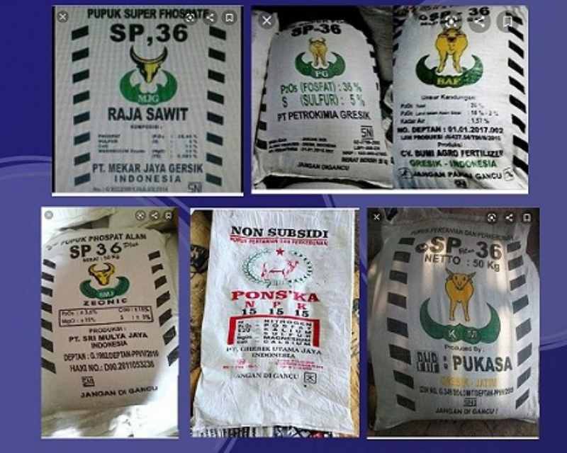Kandungan Pupuk SP 36, Manfaat, Dosis dan Cara Pemakaian - Berkebun