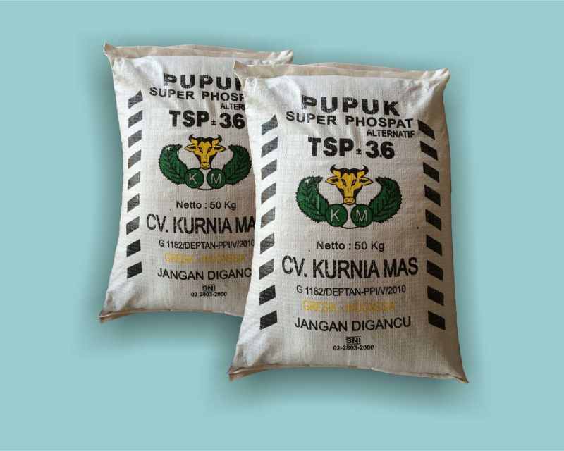 Pupuk TSP Adalah: Ini Pengertian dan Manfaatnya Lengkap