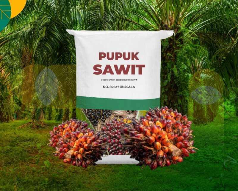 5 Jenis Pupuk Untuk Sawit dari Mulai Ditanam (Terbaik)