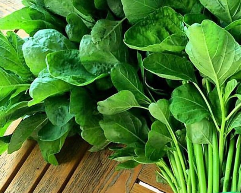 5 Cara Menanam Sayur Di Botol Bekas Air Mineral - Berkebun