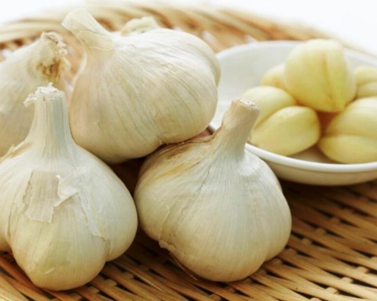 10 Contoh Tanaman Umbi Lapis dan Beberapa Fungsinya - Berkebun