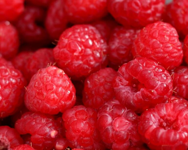 10 Buah Berwarna Merah yang Baik untuk Kesehatan - Berkebun